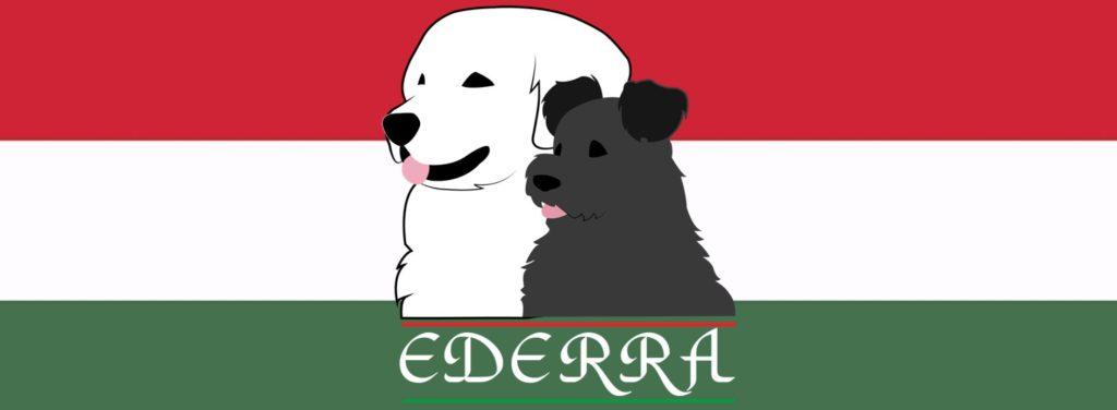 Ederra – Kuvasz and Pumi, Silverado CA